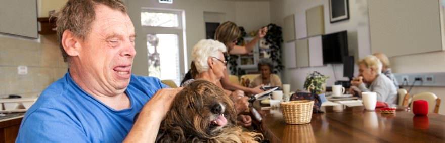 Specialist Housing Management | MYSHON